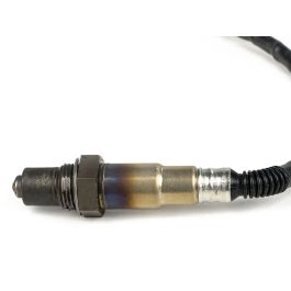 AEM Bosch Wideband Sensor